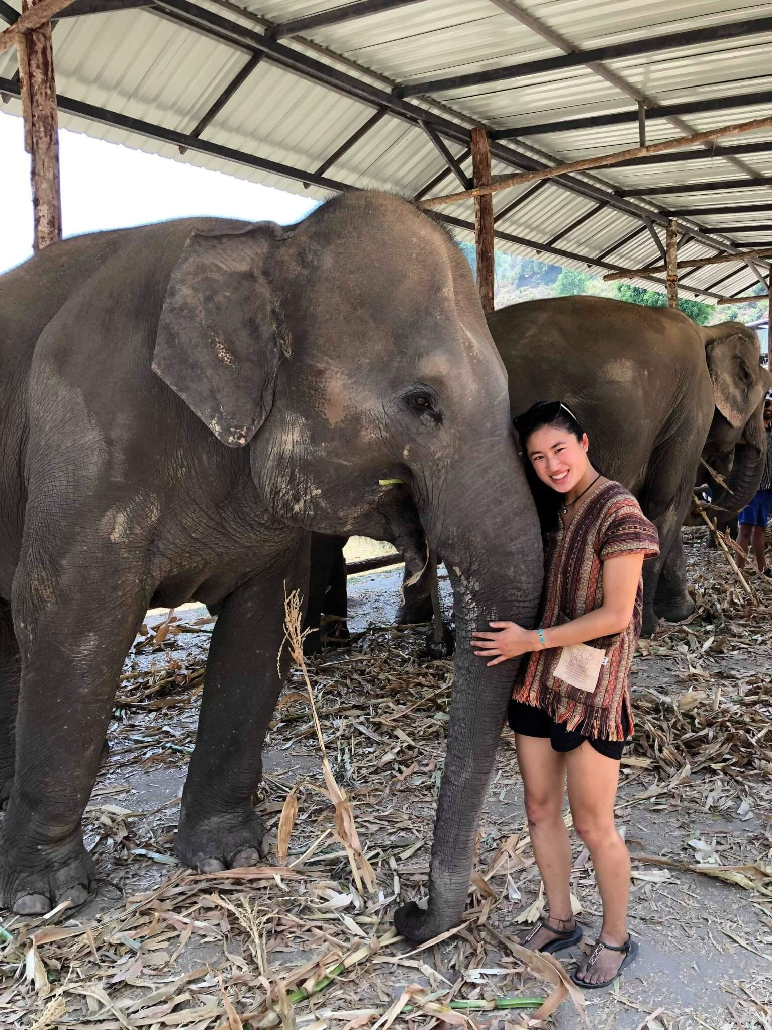 Instructor Spotlight: Ellie Combs | CodeWizardsHQ